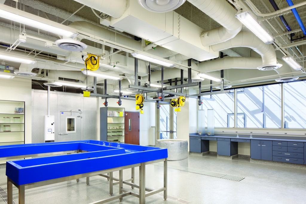 California State University Long Beach New Hall of Science