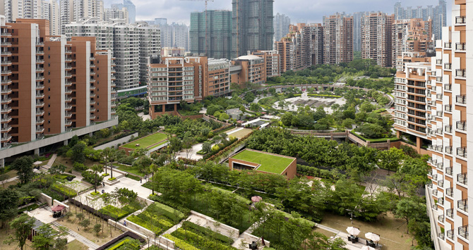 What is climate change action doing for cities? - Blog