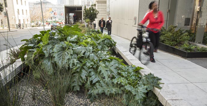 Designing cities and buildings for drought resilience - Blog