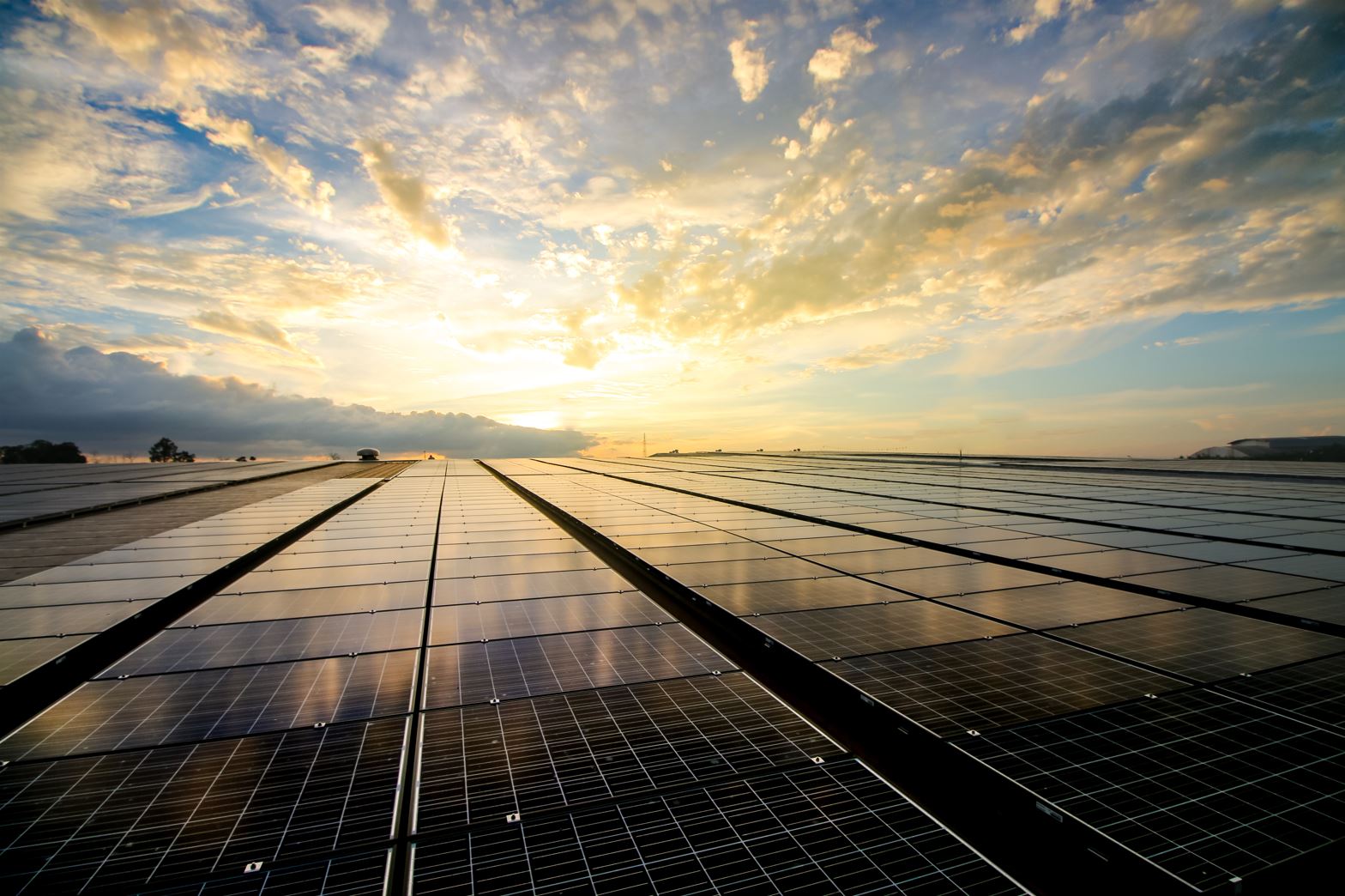 Green infrastructure must consider social value: Here’s how - Blog