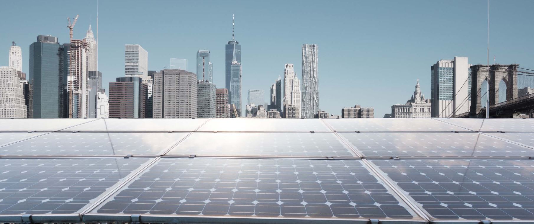 People Spotlight: Meet Manaf Al-Aryedh - Blog