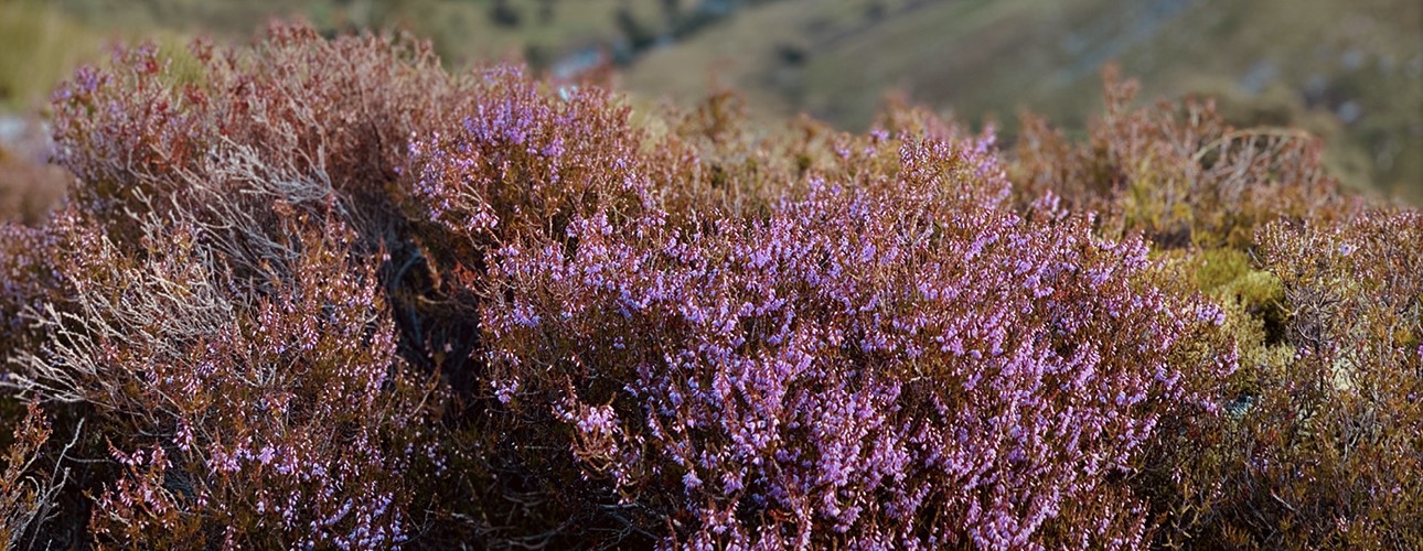 People Spotlight: Meet Helen Barber - Blog