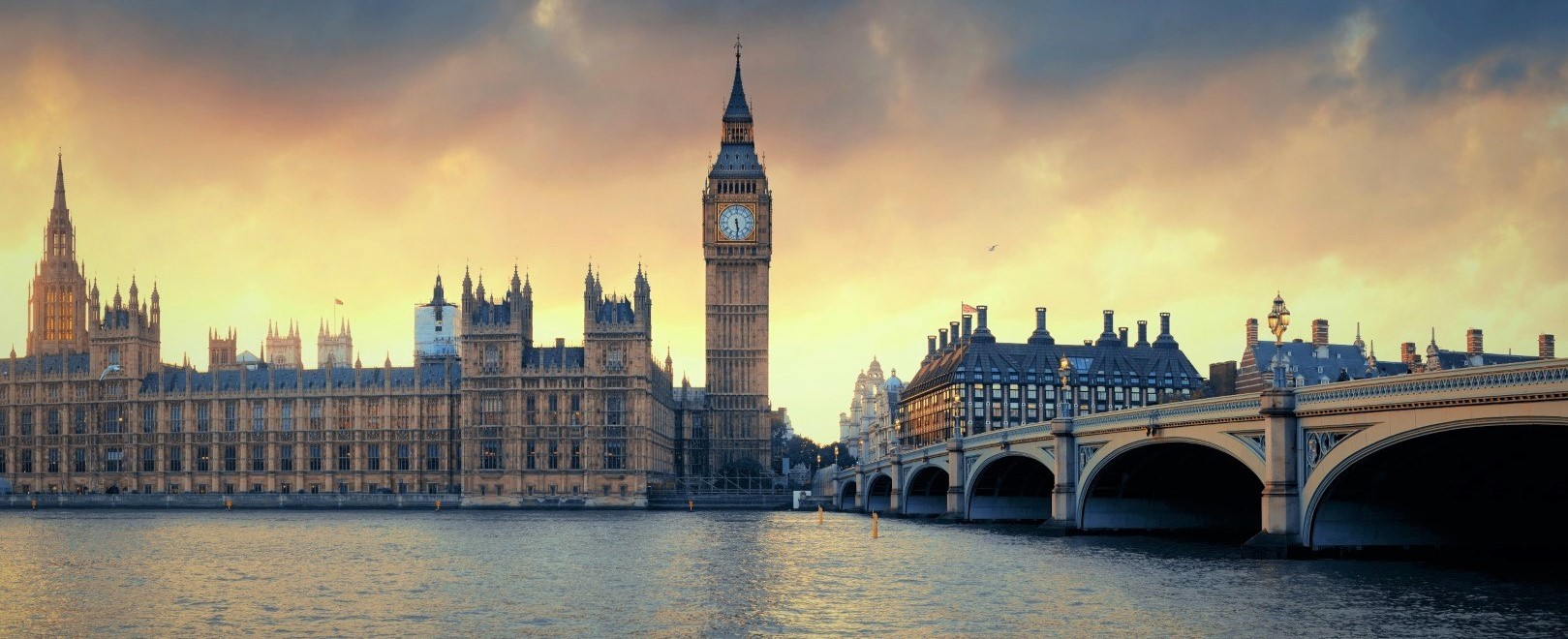 People Spotlight: Meet David Jenkinson - Blog