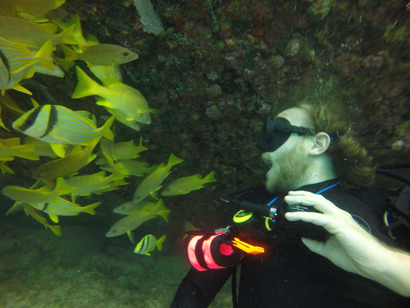 People Spotlight: Meet Craig Raffenberg - Blog