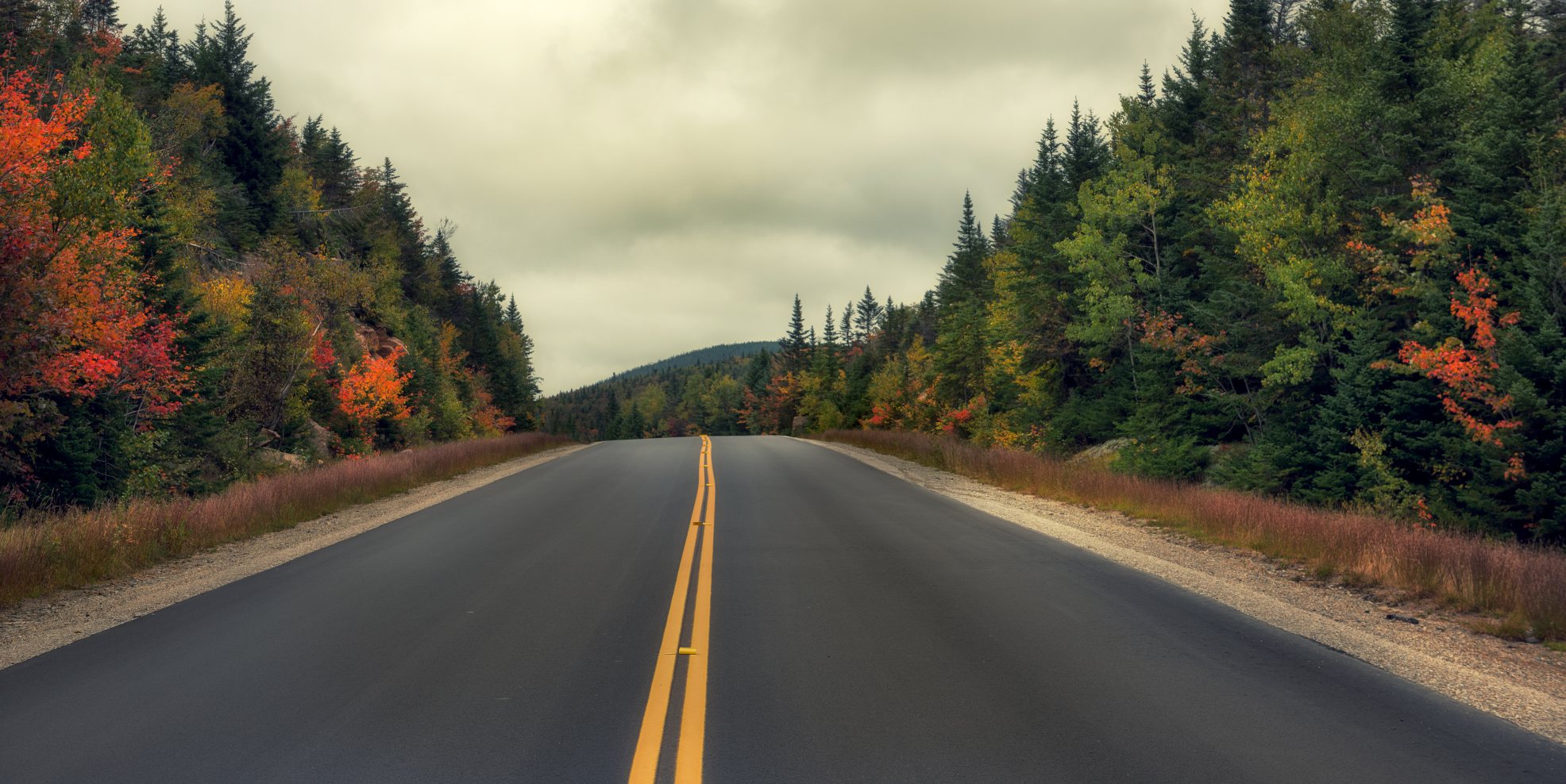 Deep Dive with Eric Bathras - Blog