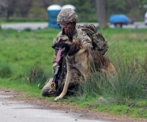 People Spotlight: Meet Dominic Marsh - Blog