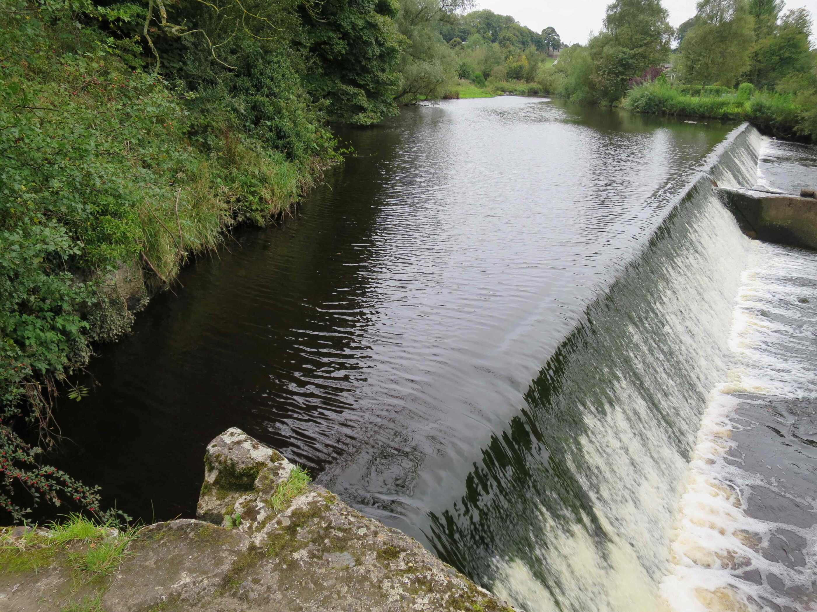 People Spotlight: Meet Mark Biesta - Blog