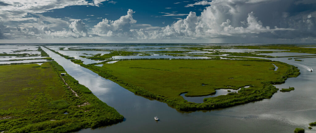 People Spotlight: Meet Kelly Pearsall - Blog