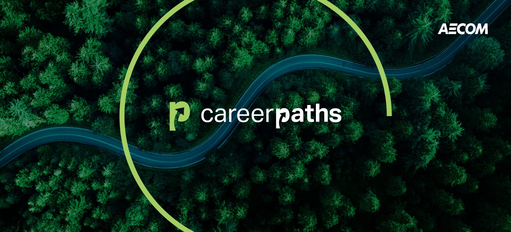 Career Paths
