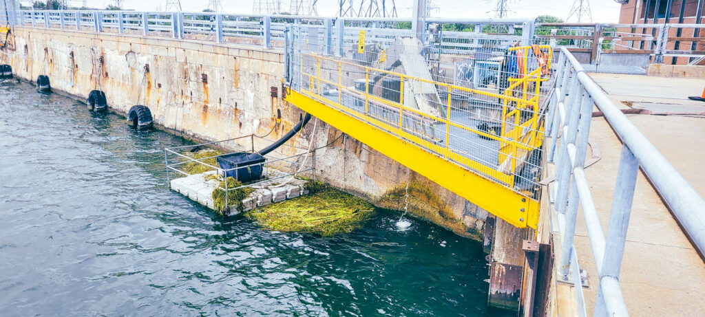 Eel ladders at the Beauharnois Dam