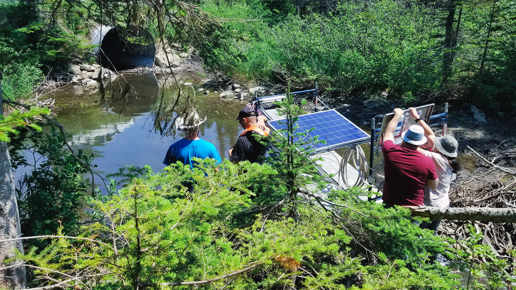 Rétablissement de la connectivité de l’habitat pour l’anguille d’Amérique