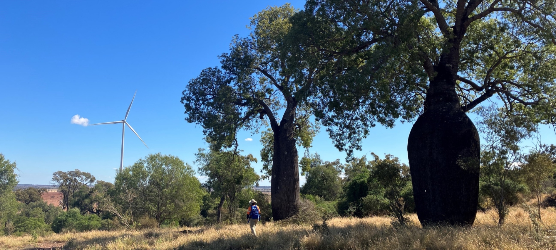 Dulacca Renewable Energy Project - New Zealand