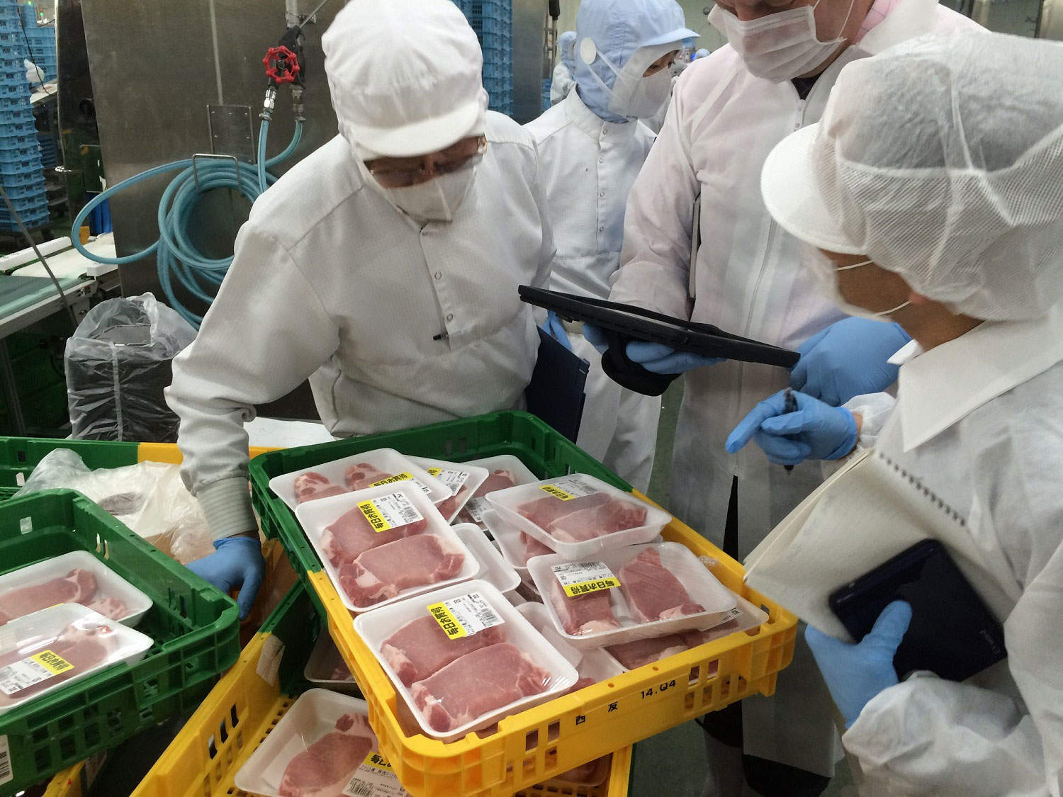 Food manufacturing process optimisation