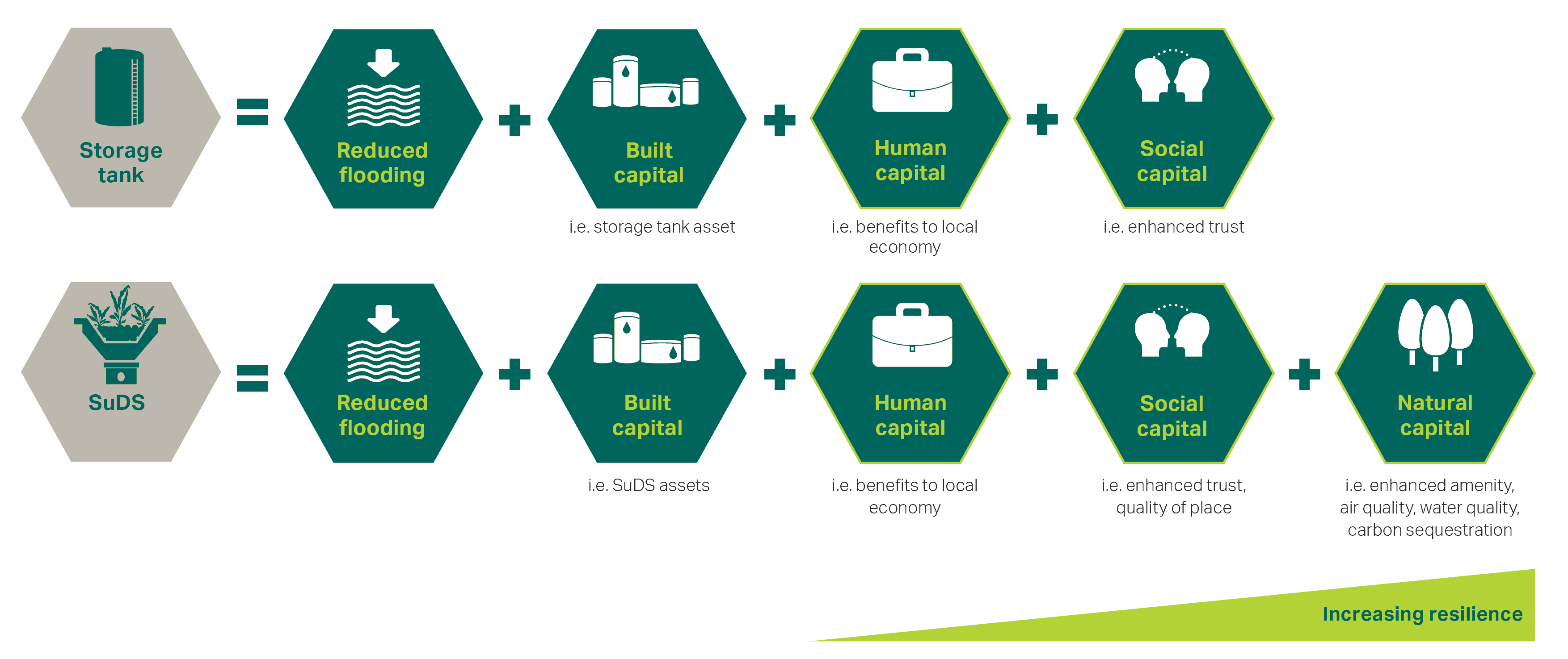 Resilience and a five capitals future
