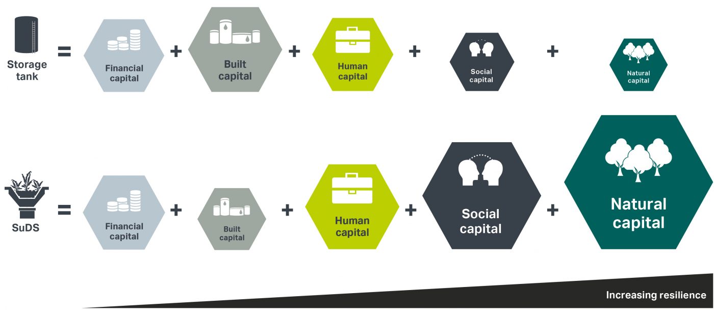 Resilience and a capitals approach | Without Limits