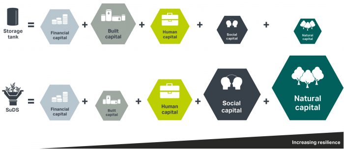 Resilience and a capitals approach | Without Limits