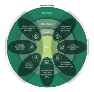 Seven regenerative design principles to change our cities | Without Limits