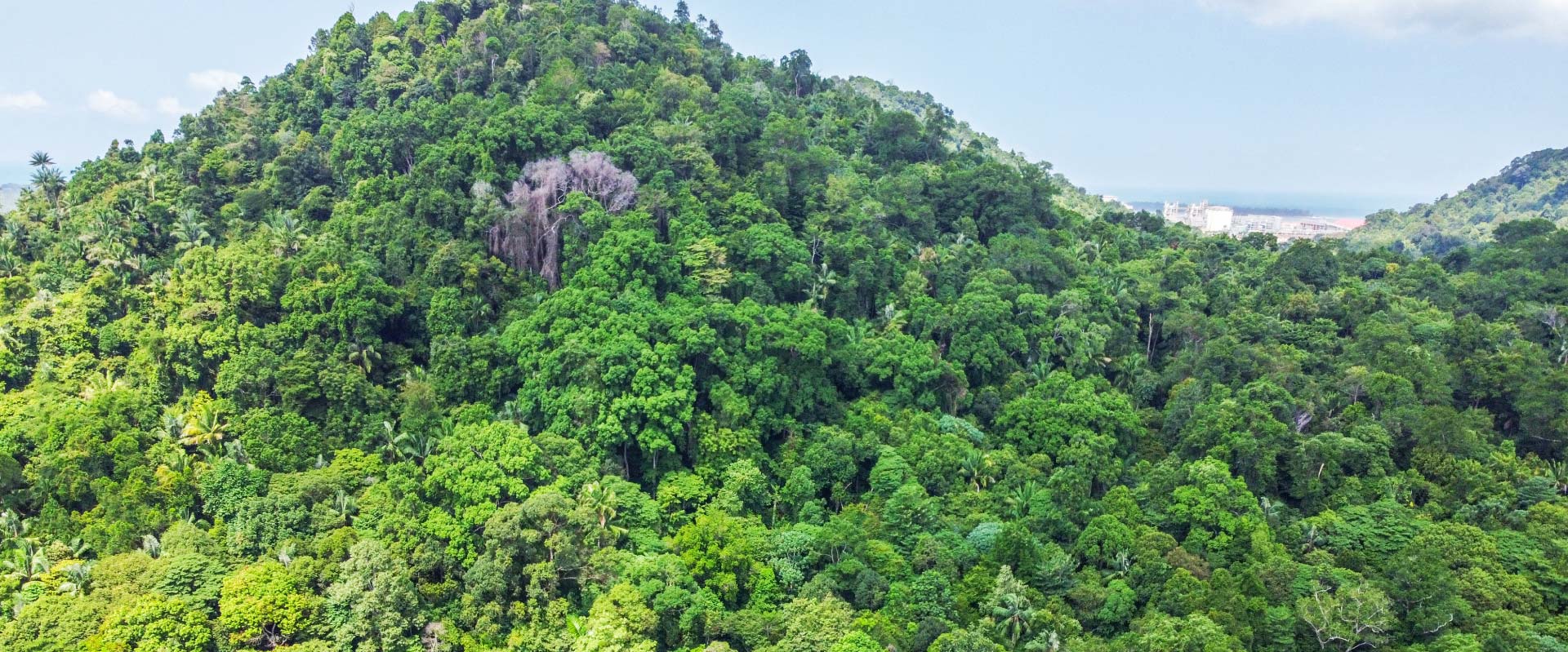 The Natural Capital Manifesto – Establishing a business case for nature ...