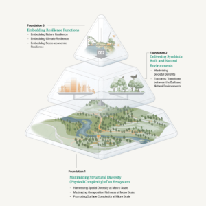 High-performance ecosystems: The cornerstone of nature positive urban ...