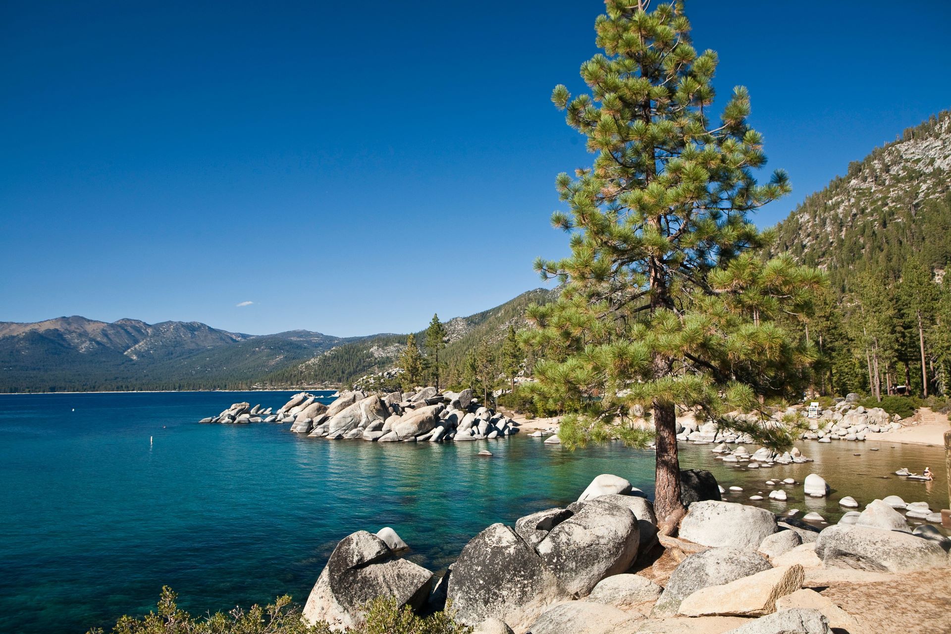 Regenerative remediation: turning closure into opportunity | Without Limits