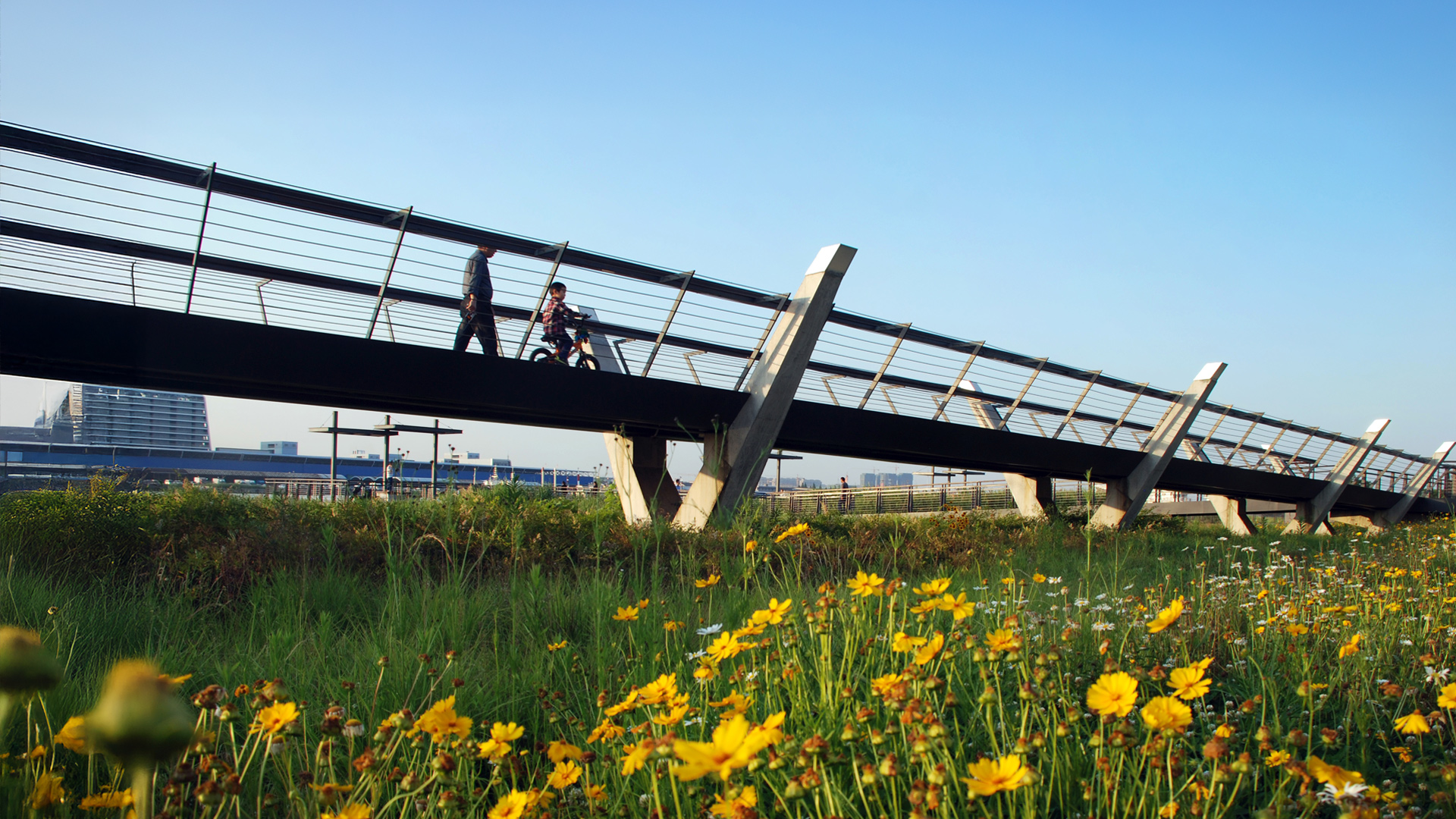 Ningbo Yong River Waterfront Park
