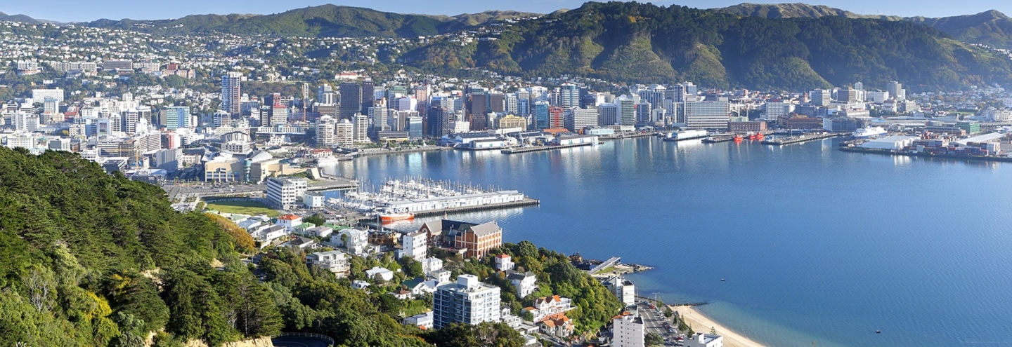 Wellington City Council’s Te Atakura – First to Zero blueprint