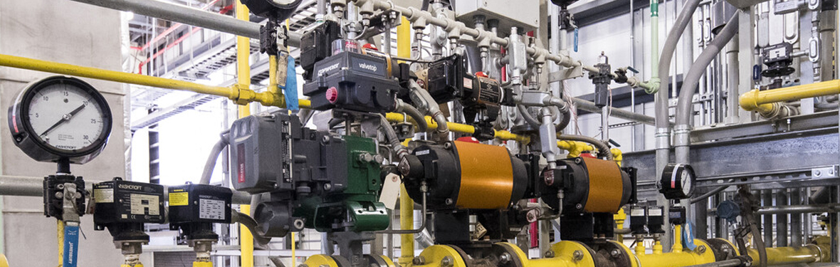 Cogeneration Facility Design-Build