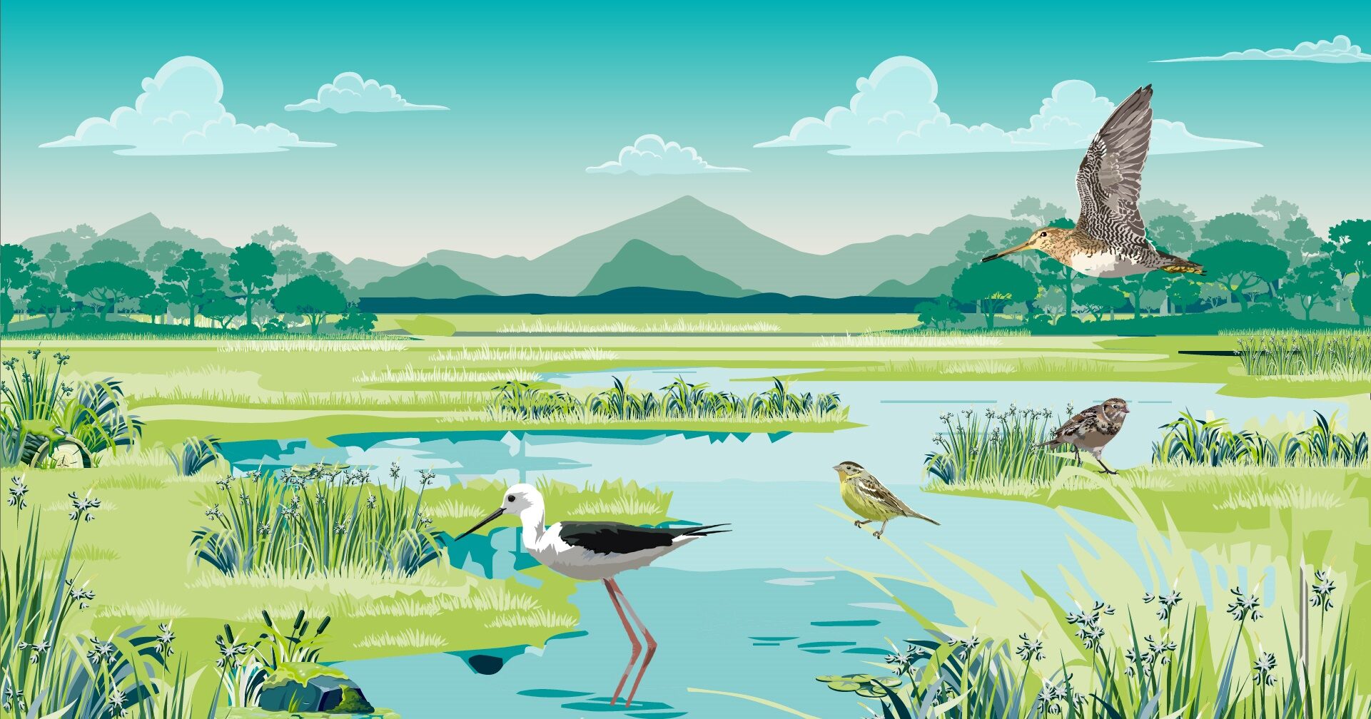 Long Valley Nature Park: A Beacon for Biodiversity and Conservation