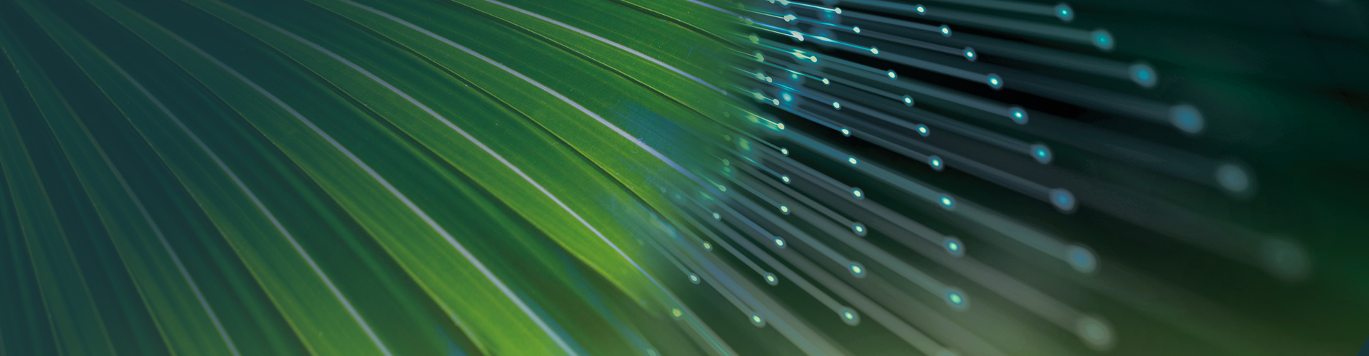 Join AECOM at ReThink: Delivering Sustainable Legacies for a Nature ...